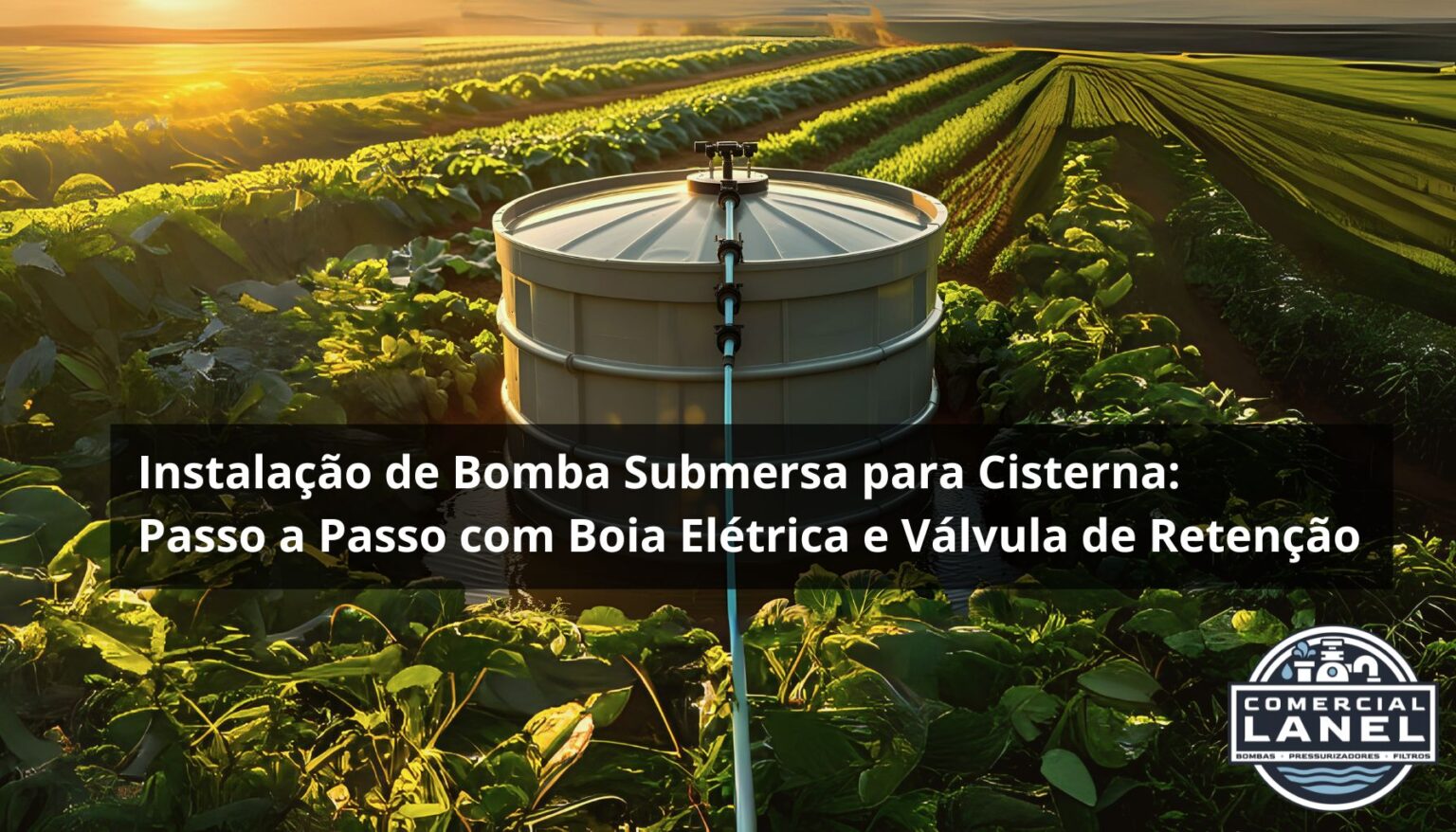 Instalação de Bomba Submersa para Cisterna: Passo a Passo com Boia ...